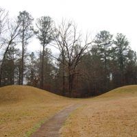 Natchez Trace – Traveled For Thousands of Years – Page 7 – Legends of ...