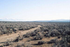Bidwell-Bartleson Party – Blazing the California Trail – Legends of America